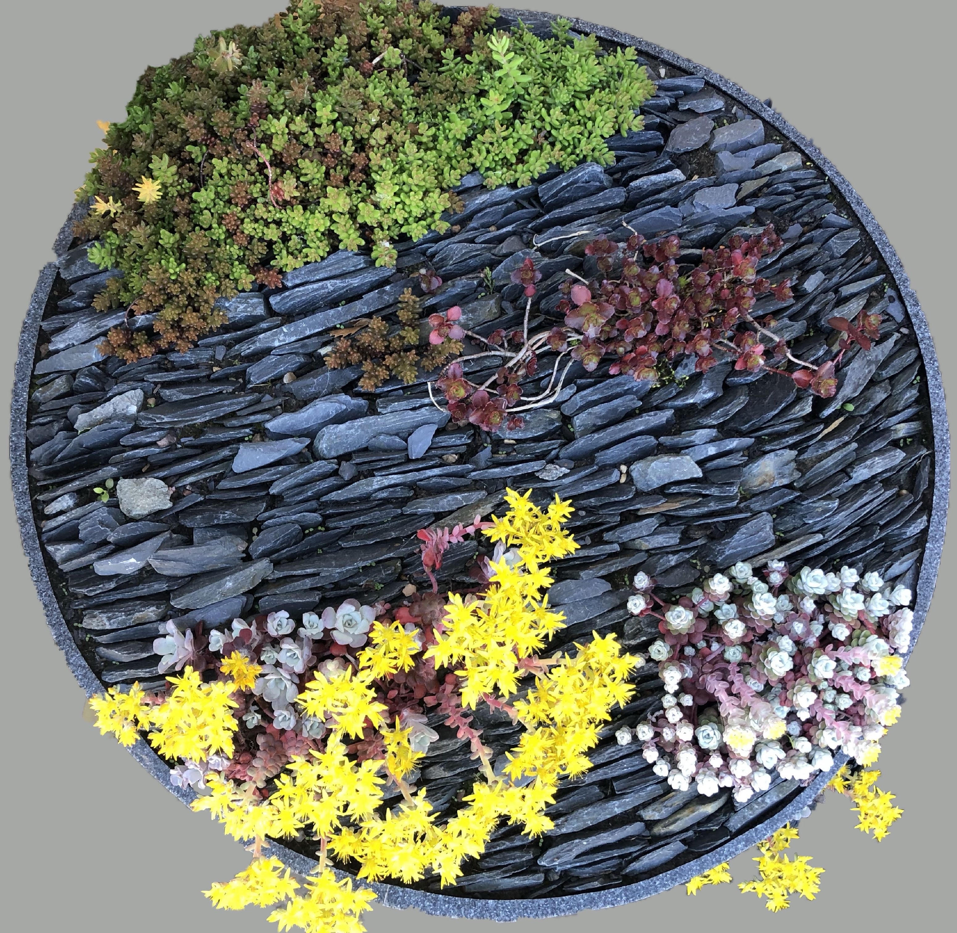 Gallery - Stone Illusions